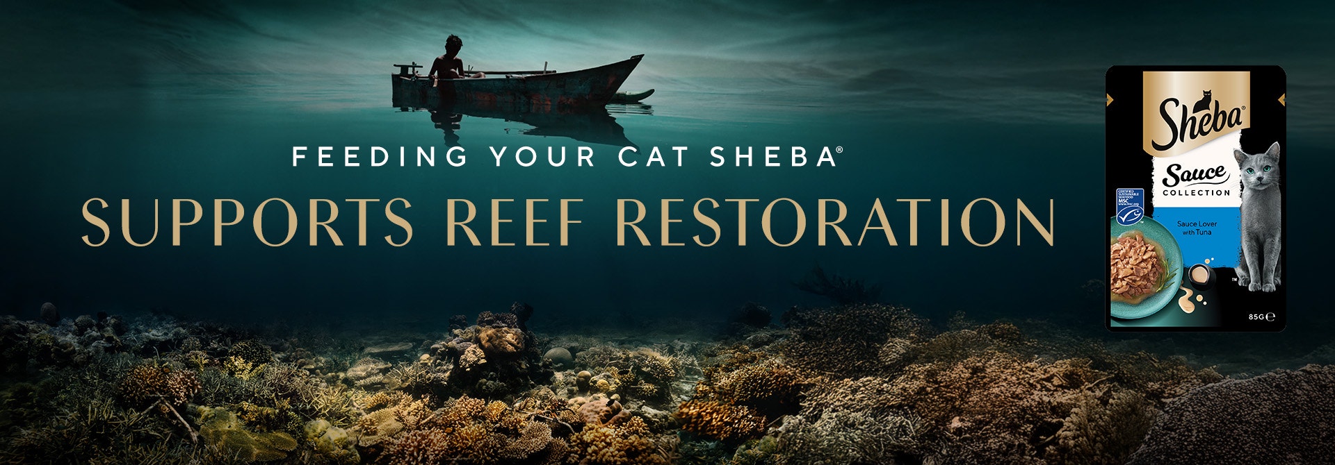 Sheba Logo Sheba Tel HaShomer Global Division As We Bid Farewell To