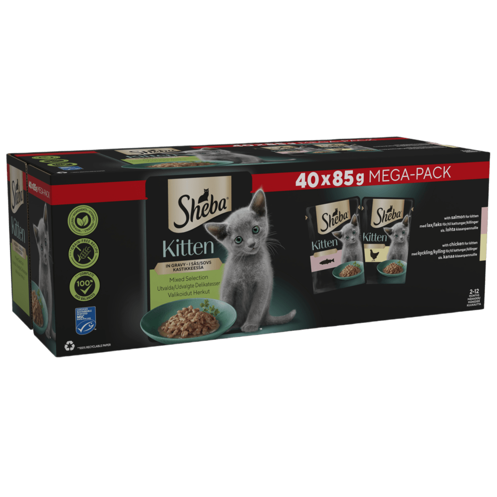 SHEBA® Mixed Selection Kitten Wet Cat Food in Gravy 40 x 85g Pouch